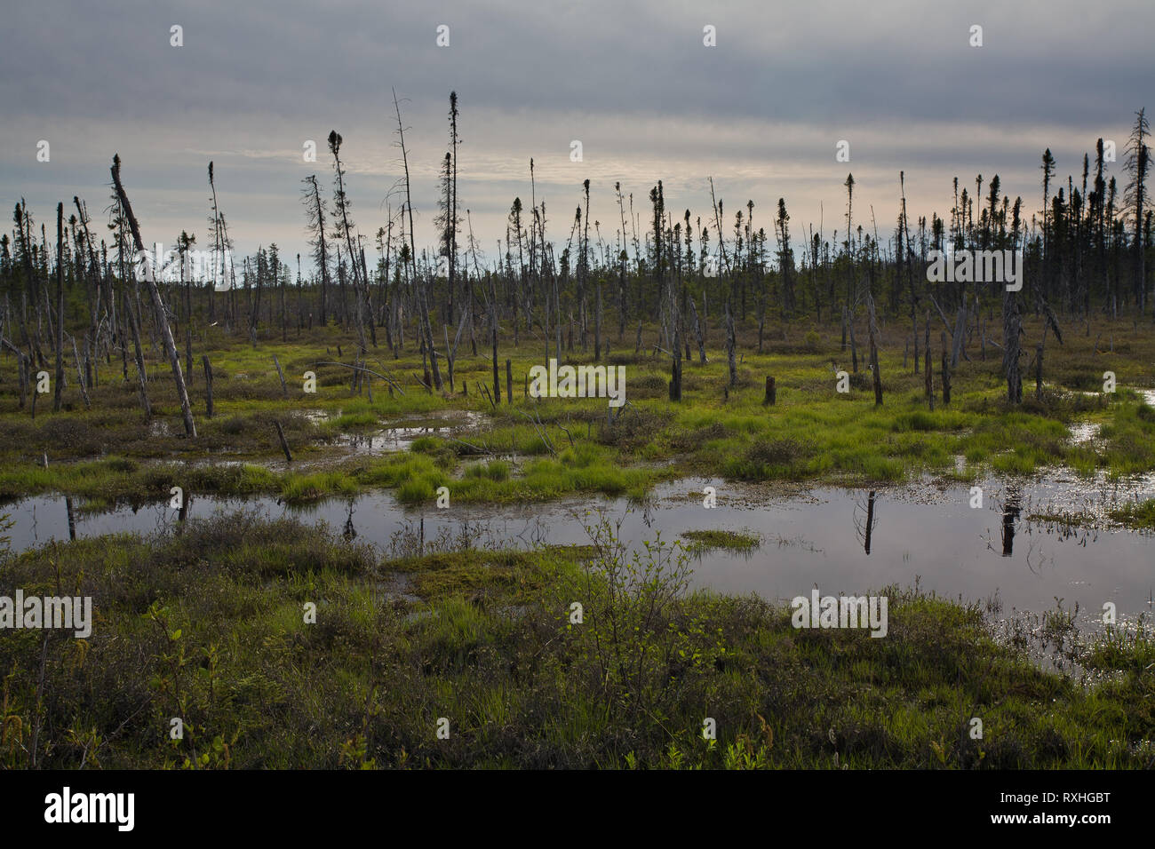 Waskaganish hi-res stock photography and images - Alamy