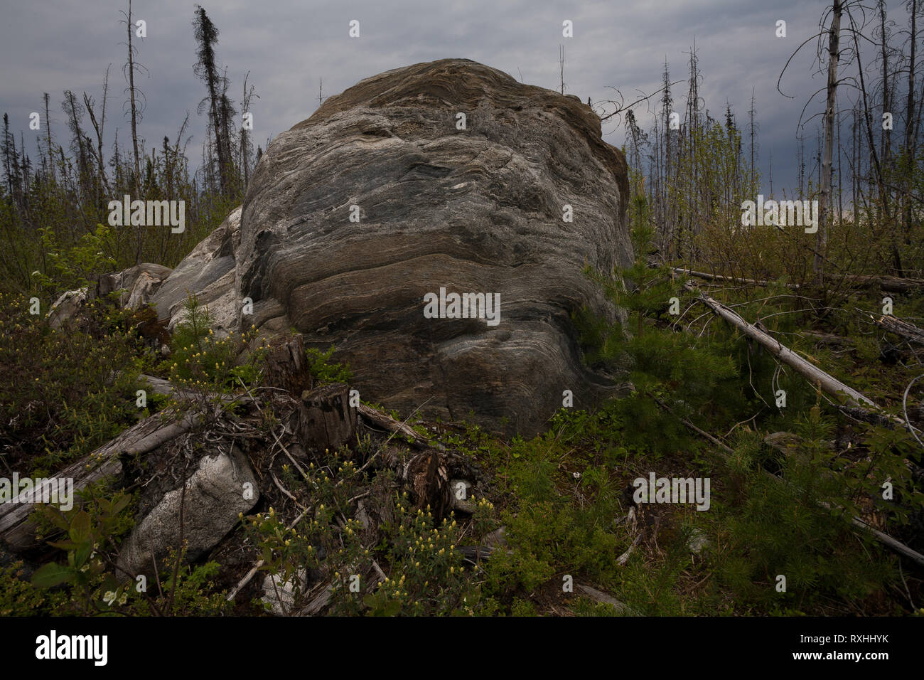Rupert River, Eeyou Istchee James Bay Territory, Quebec, Canada Stock ...