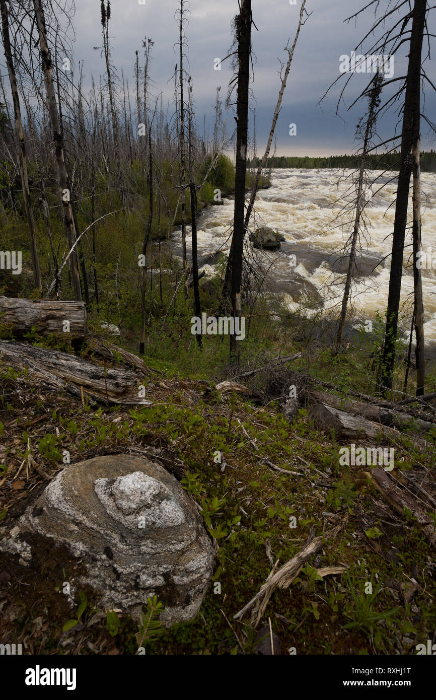 Rupert River, Eeyou Istchee James Bay Territory, Quebec, Canada Stock ...