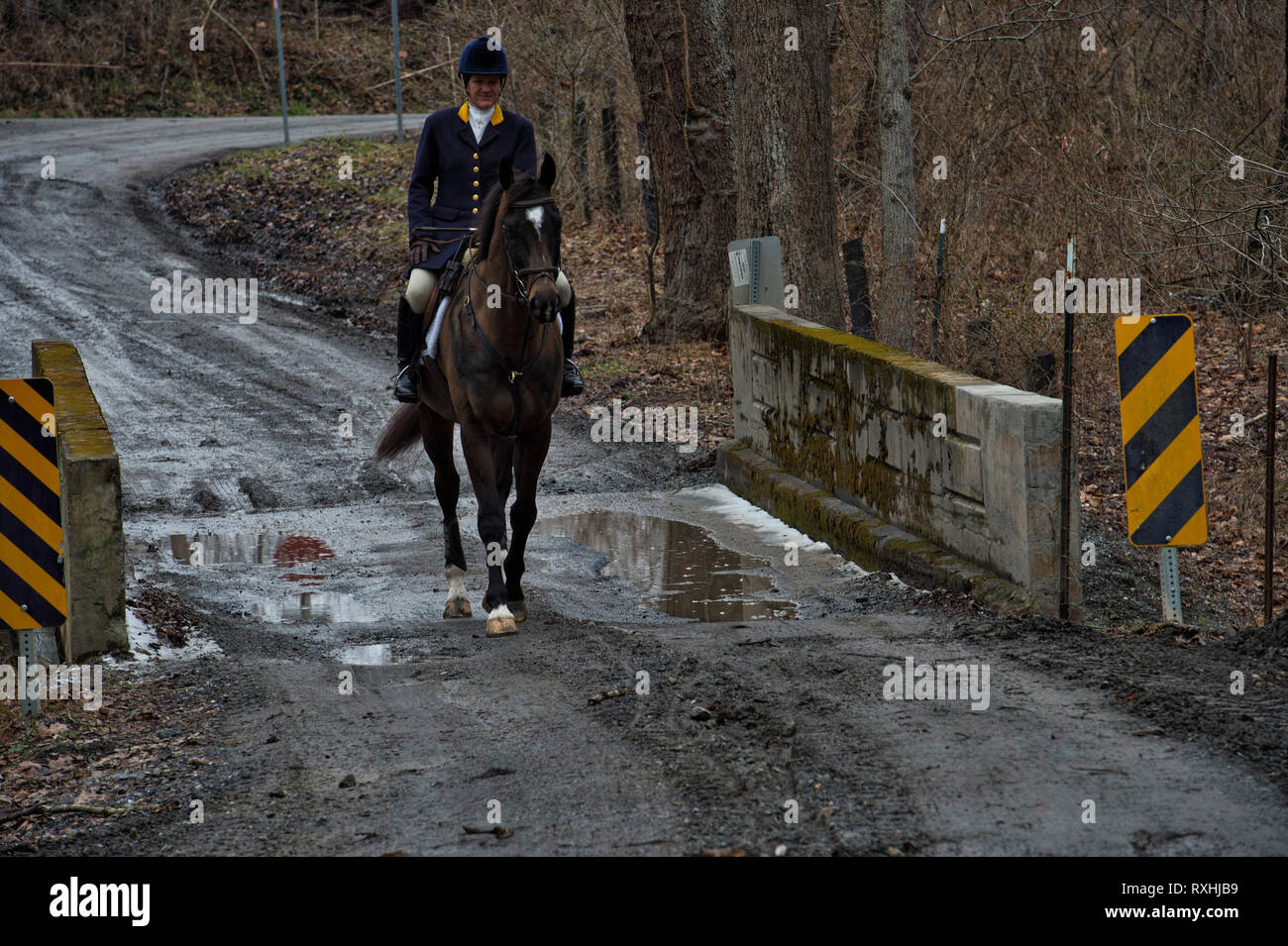 UNITED STATES - 03-09-2019: The oldest fox hunting club in the United ...