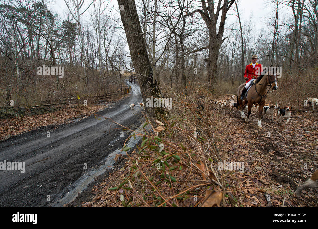 UNITED STATES - 03-09-2019: The oldest fox hunting club in the United ...