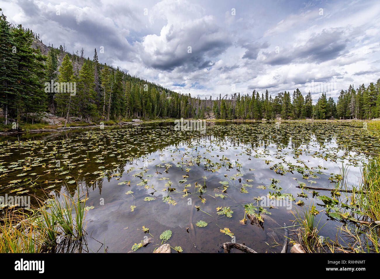 Nymph lake trail hi-res stock photography and images - Alamy