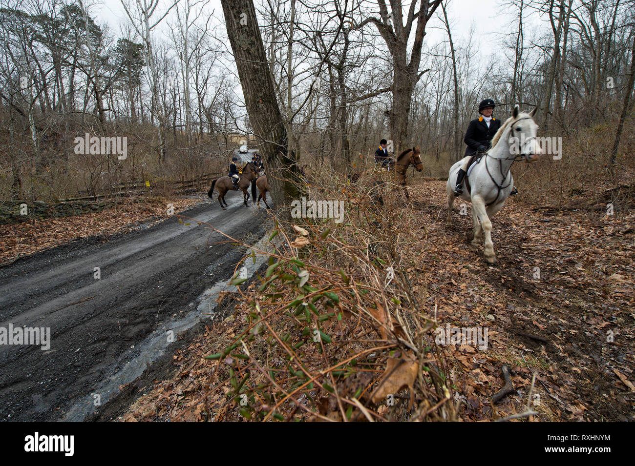 UNITED STATES - 03-09-2019: The oldest fox hunting club in the United ...