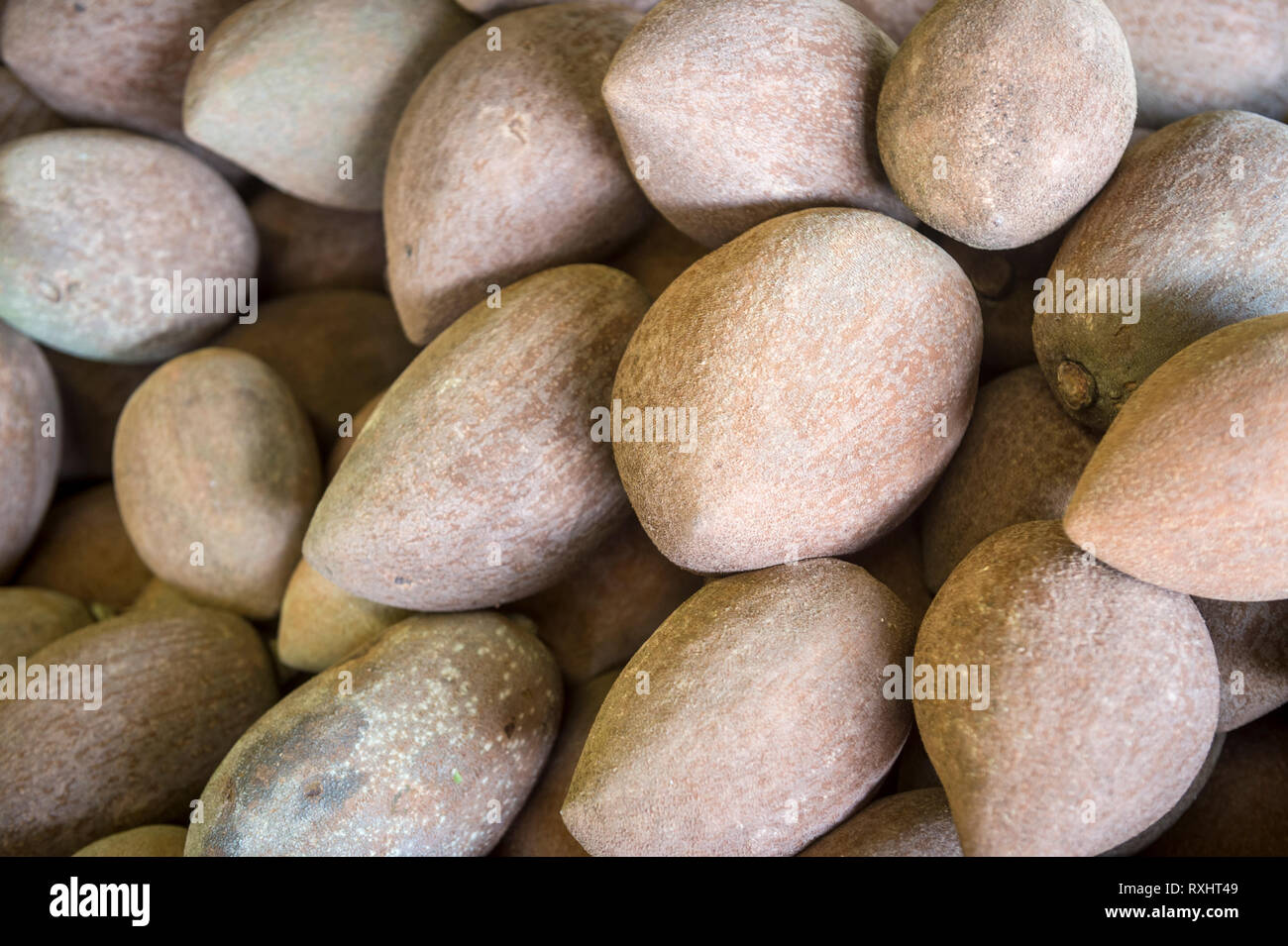 Pie of fresh tropical mamey fruit on display in soft sunlight at an ...