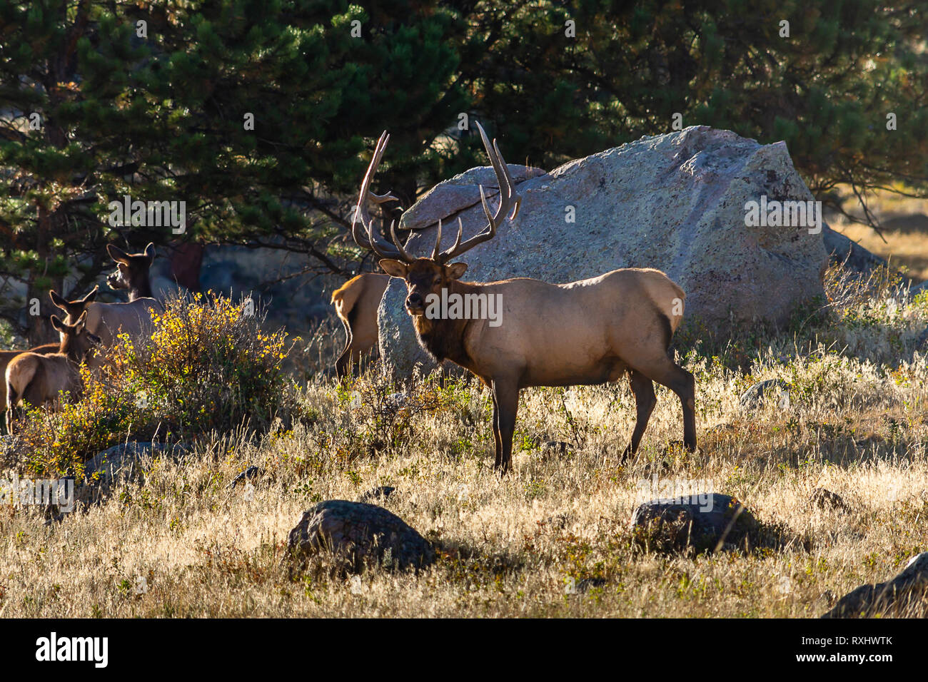 West Elk Mountain Range High Resolution Stock Photography and Images ...