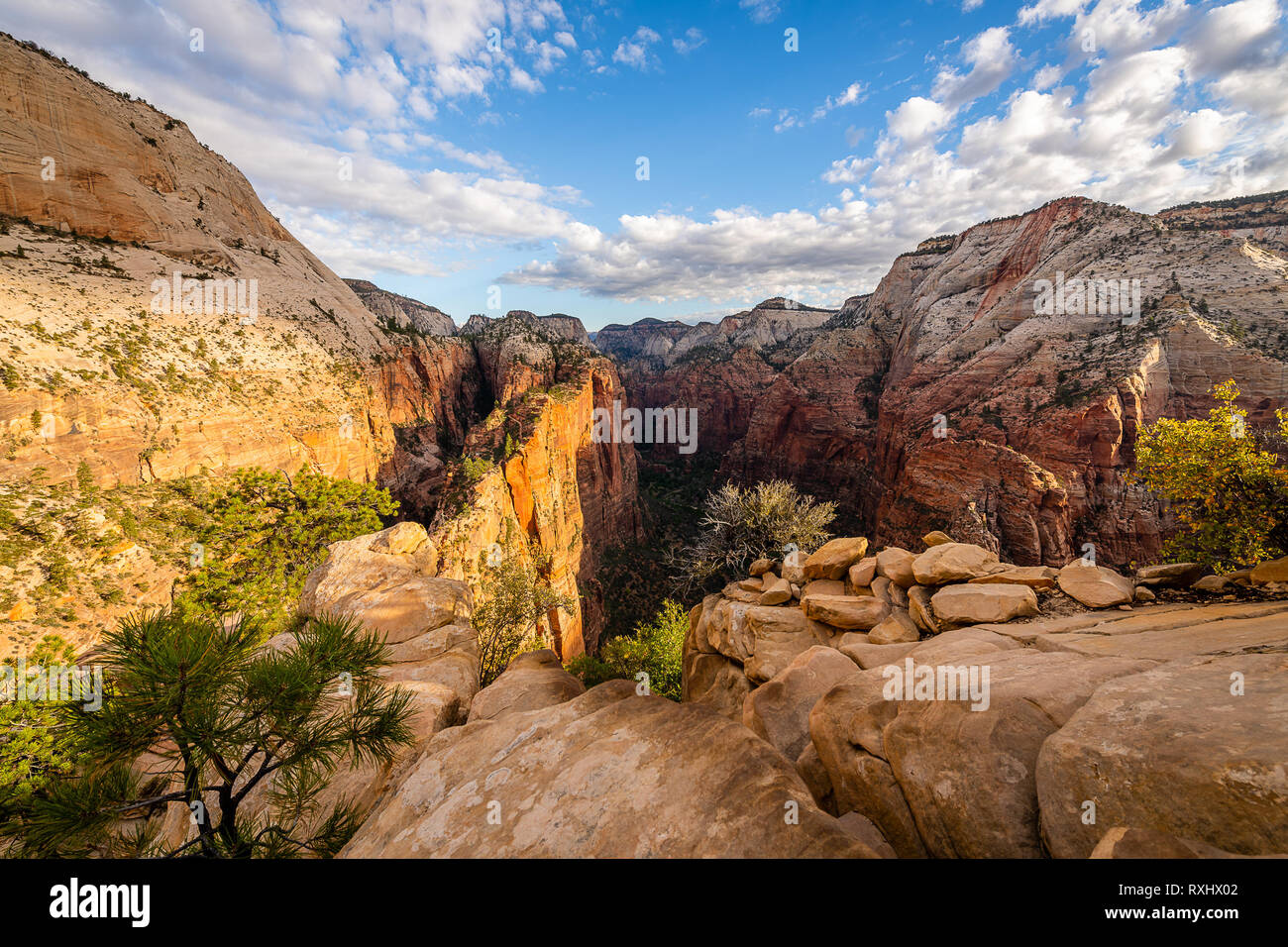 Zion National Park, Utah Stock Photo - Alamy