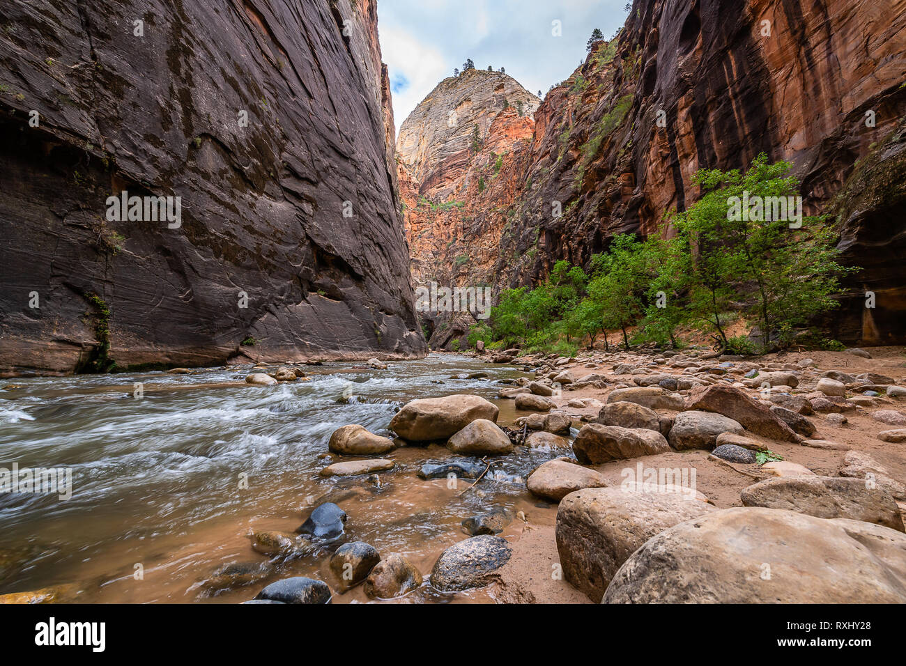 Zion National Park, Utah Stock Photo - Alamy