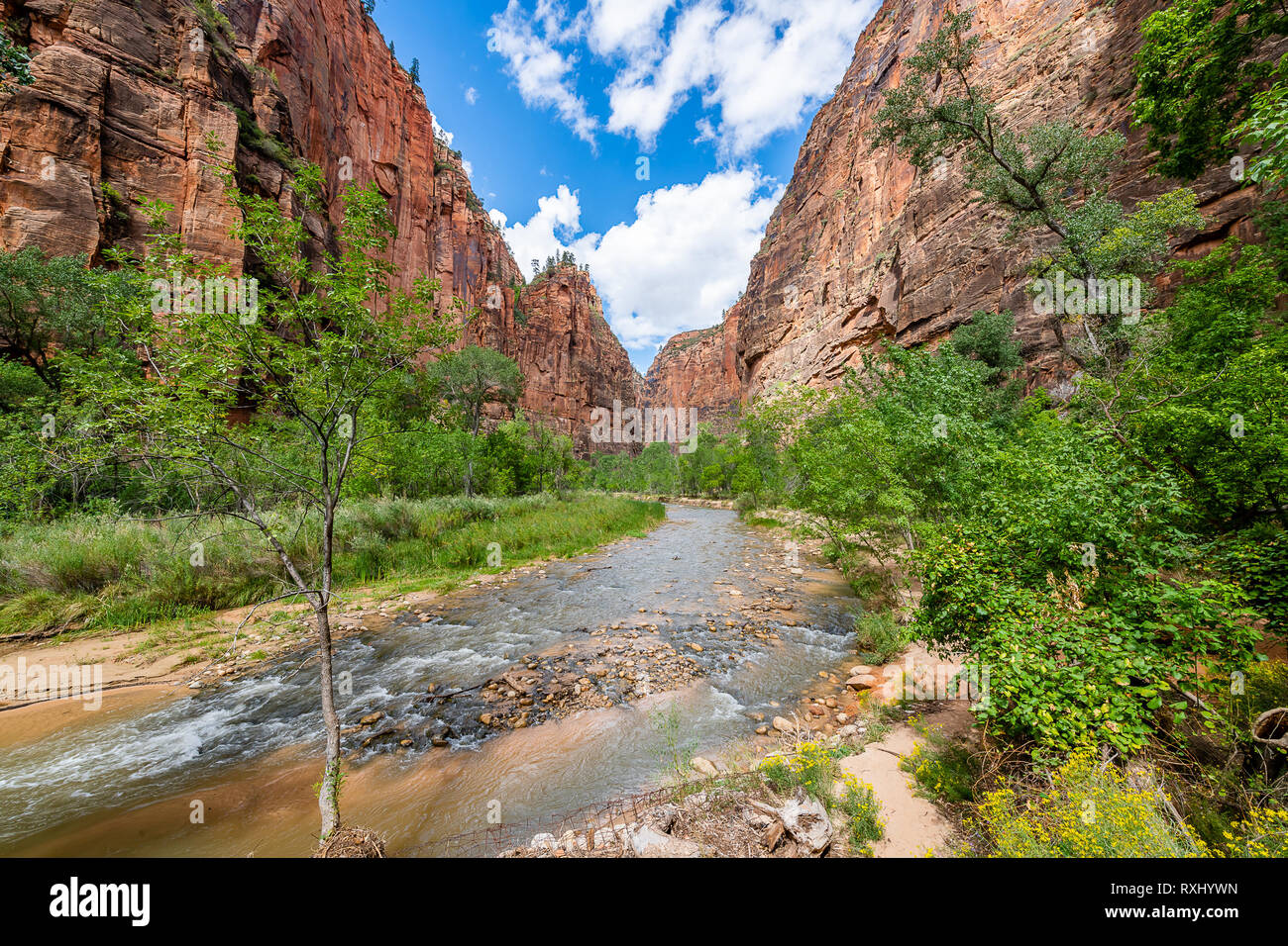 Zion National Park, Utah Stock Photo - Alamy