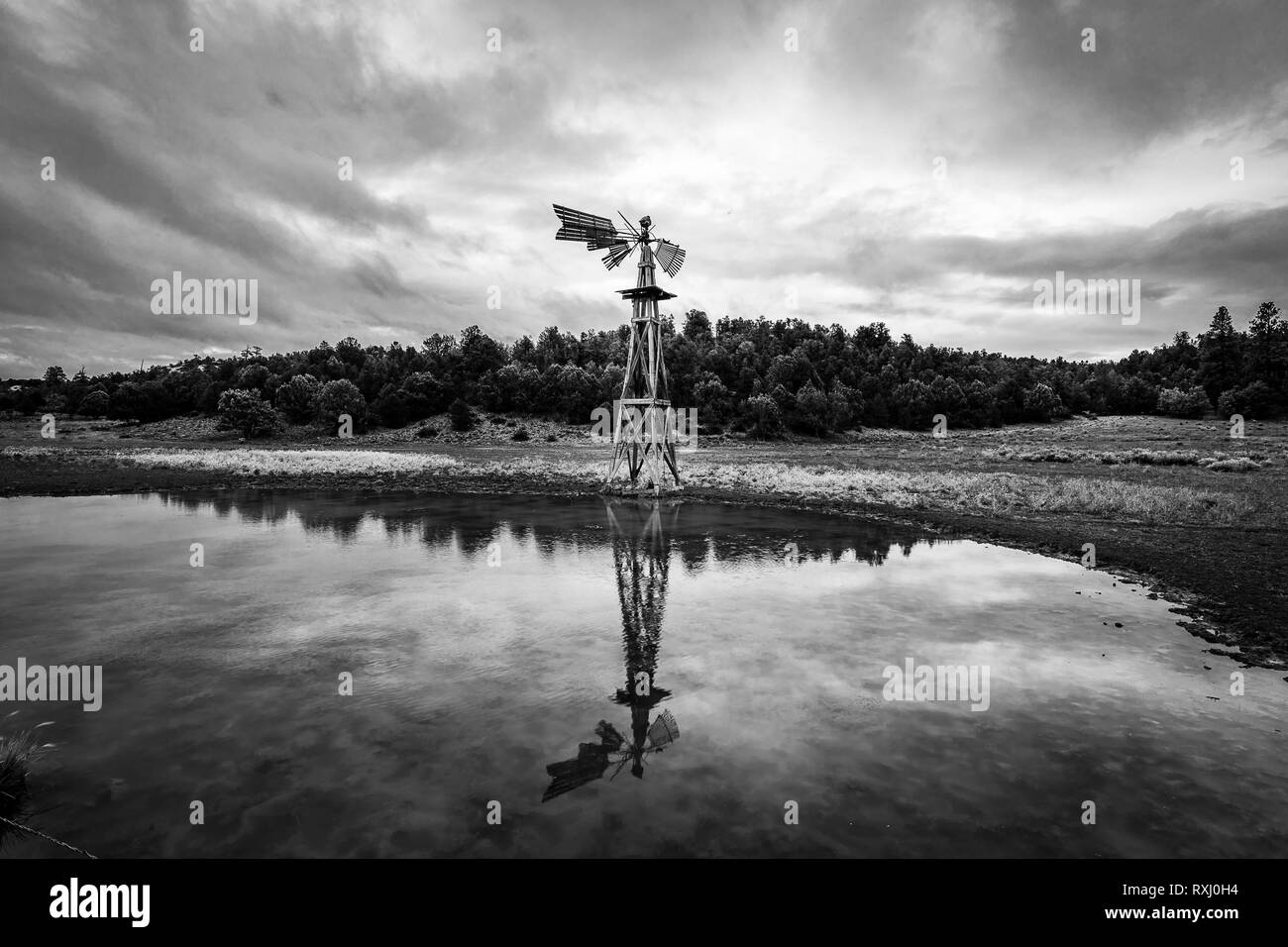 Driving park Black and White Stock Photos & Images - Alamy