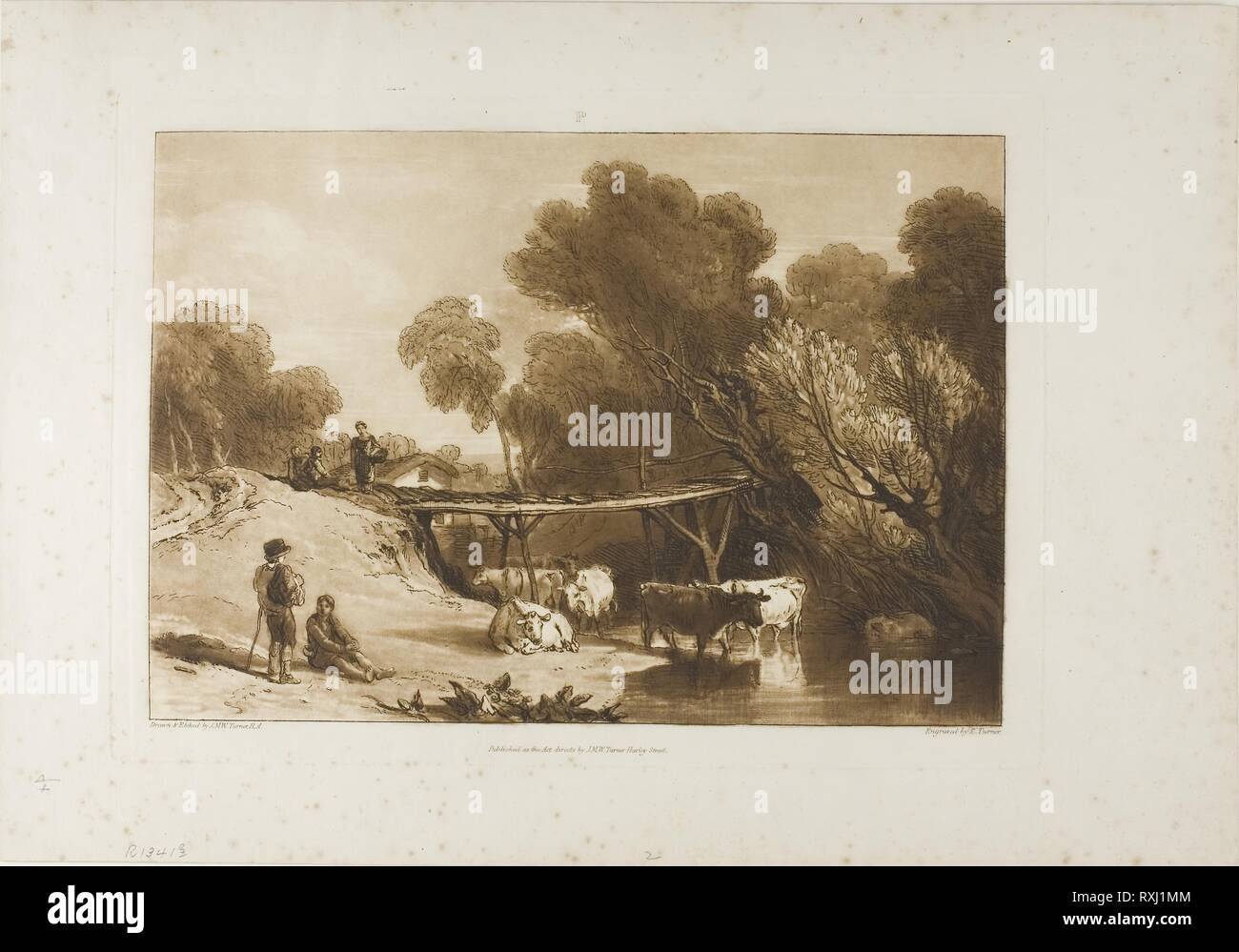 Two tone cows hi-res stock photography and images - Alamy