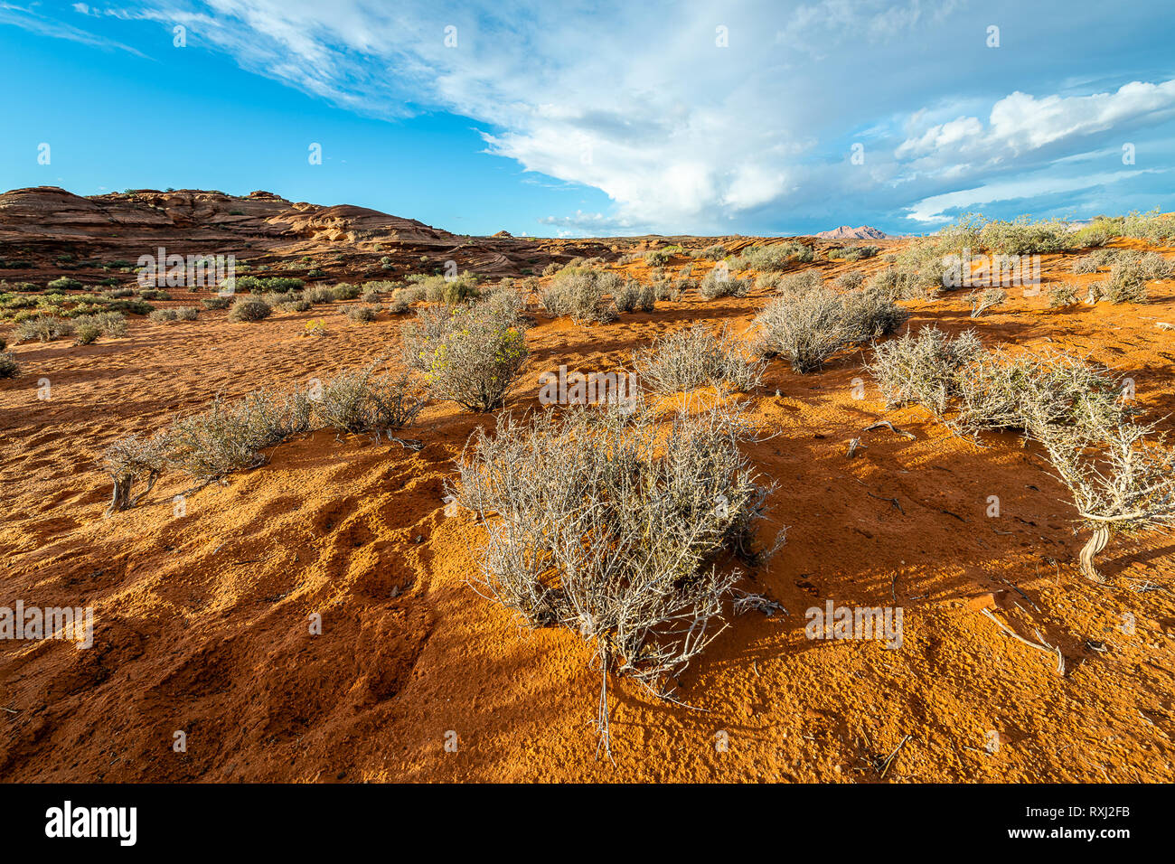 Horseshoe Basin High Resolution Stock Photography and Images - Alamy