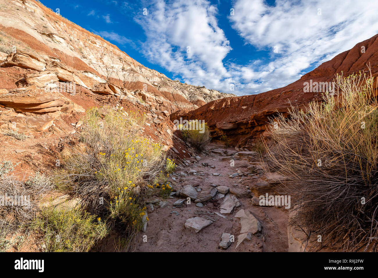 Grand Staircase-Escalante National Monument Stock Photo - Alamy
