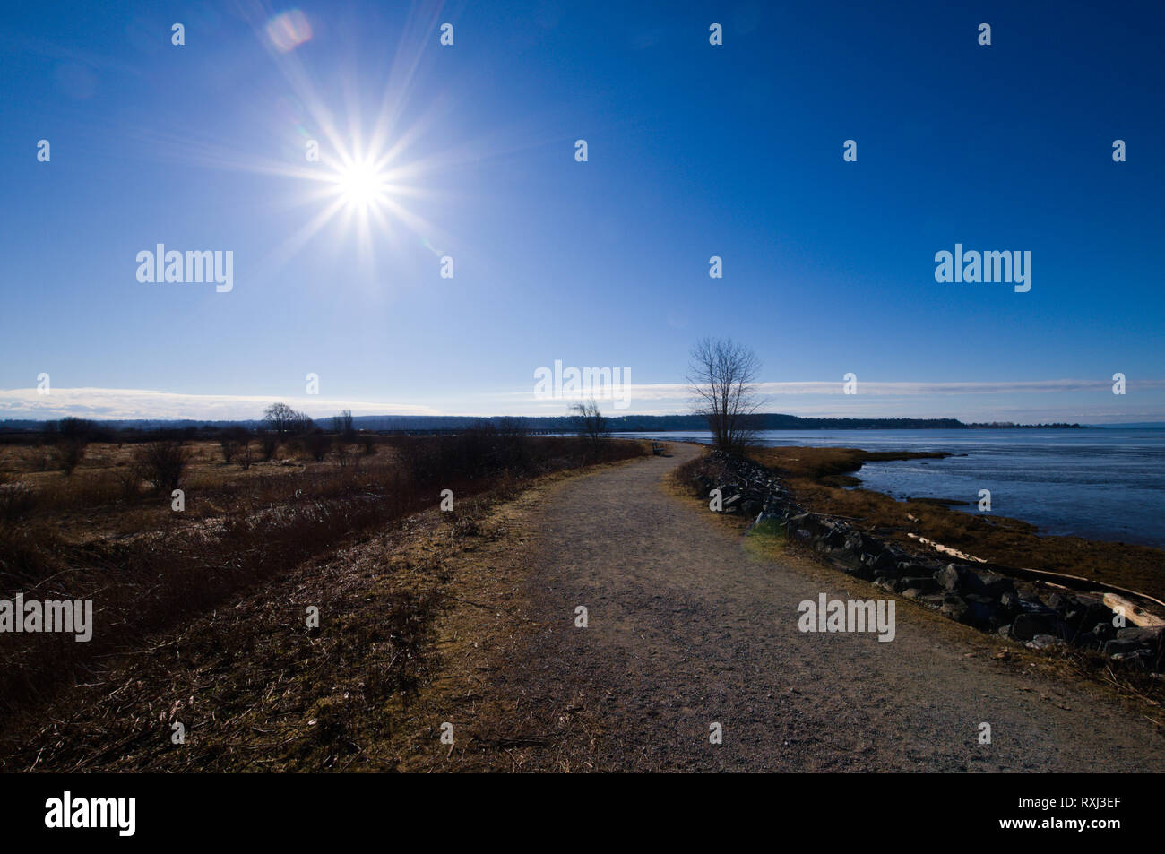Pathway at Mud Bay Park in Surrey, British Columbia, Canada Stock Photo ...