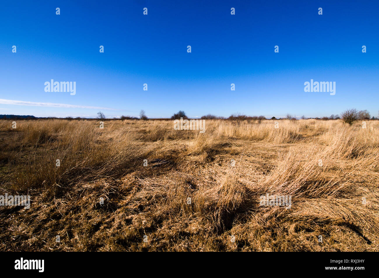 Gravel road surrey hi-res stock photography and images - Alamy