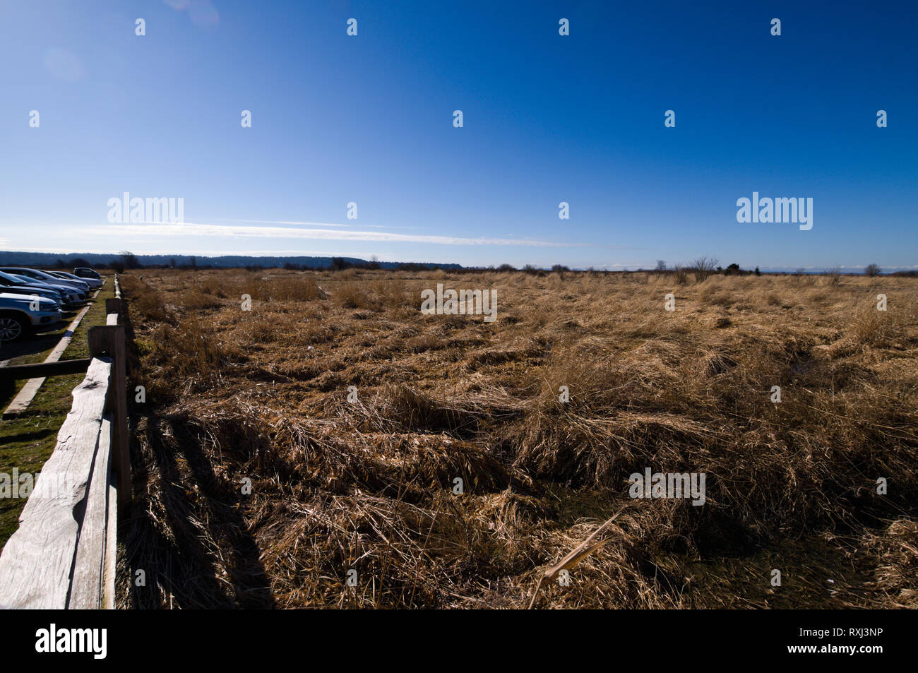 Fields of wild grass grow in what was salt marsh before the ...