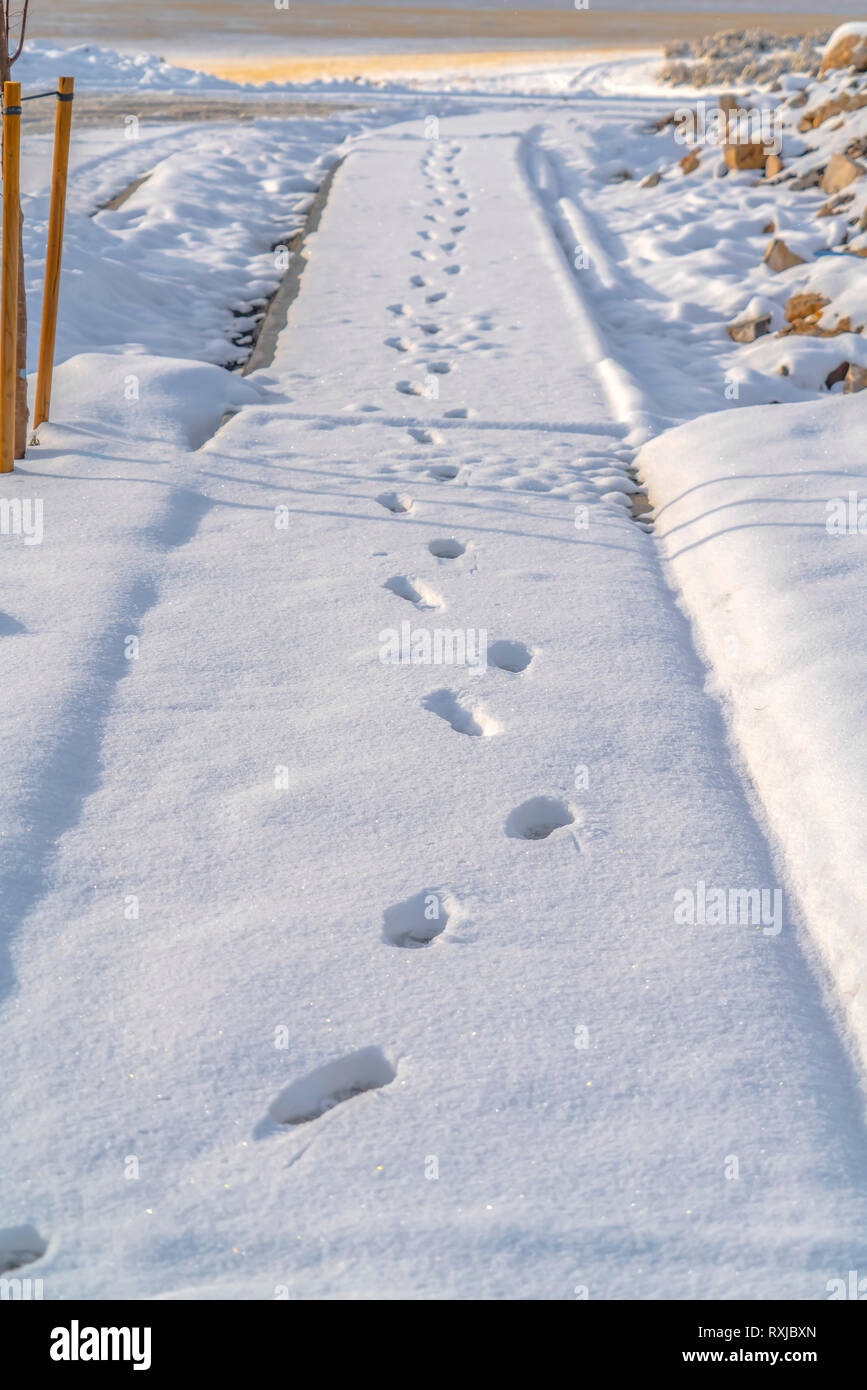 Footprints on pavement path hi-res stock photography and images - Alamy