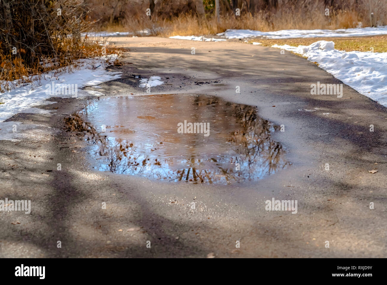 Reflective puddle hi-res stock photography and images - Alamy
