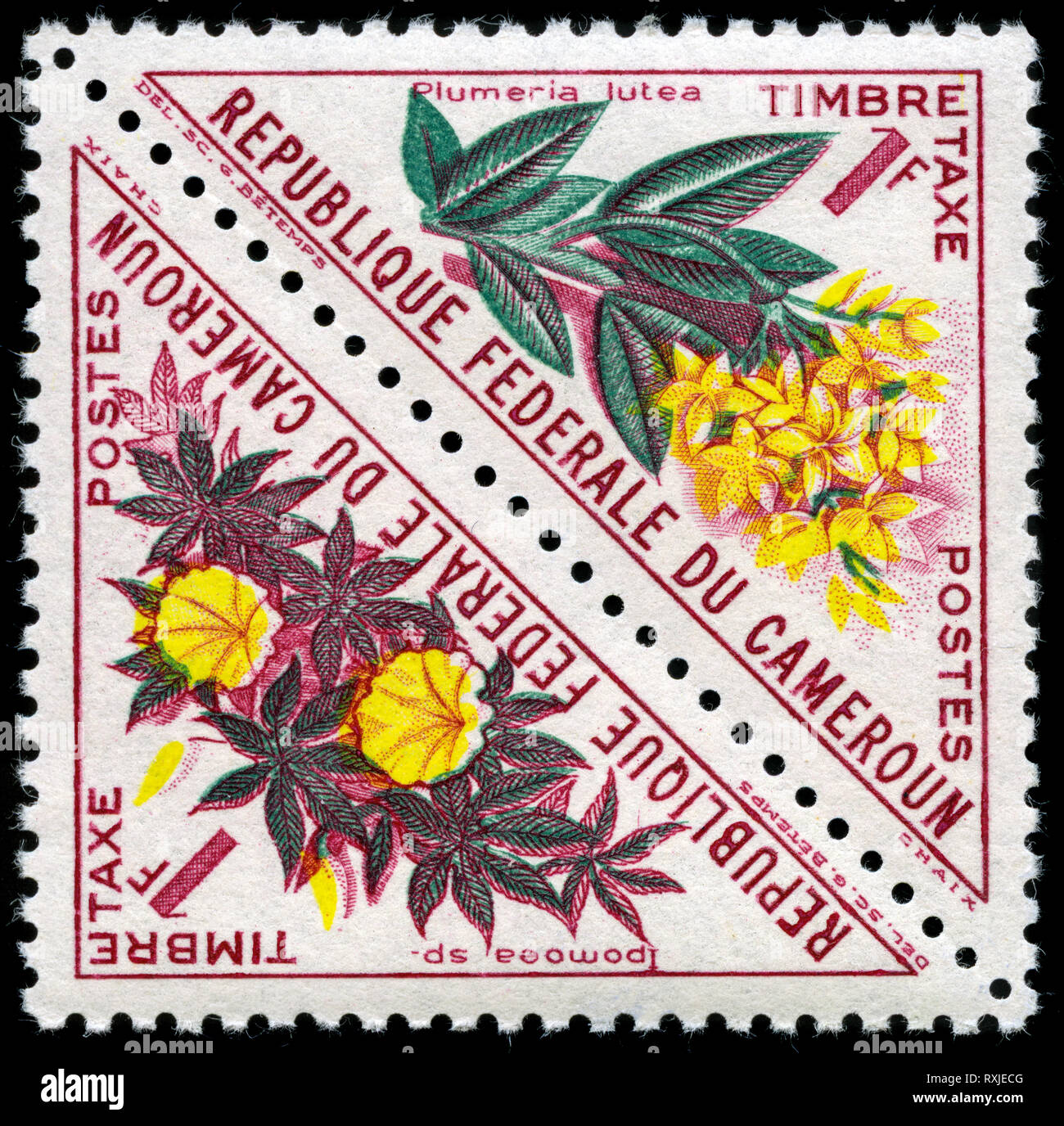 Postage stamp from Cameroon in the Flowers series issued in 1963 Stock ...