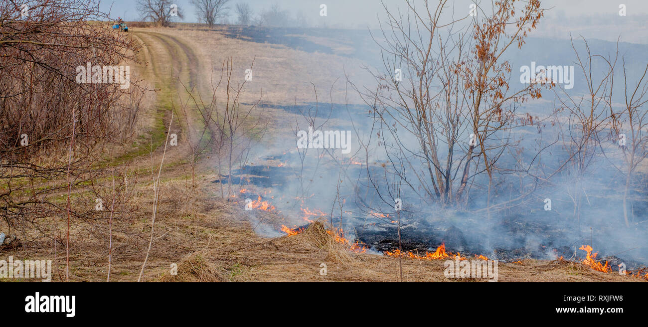 A strong fire spreads in gusts of wind through dry grass, smoking dry ...