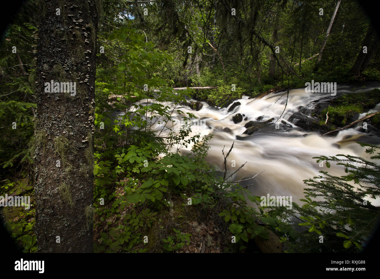 Cochrane Canada High Resolution Stock Photography and Images - Alamy