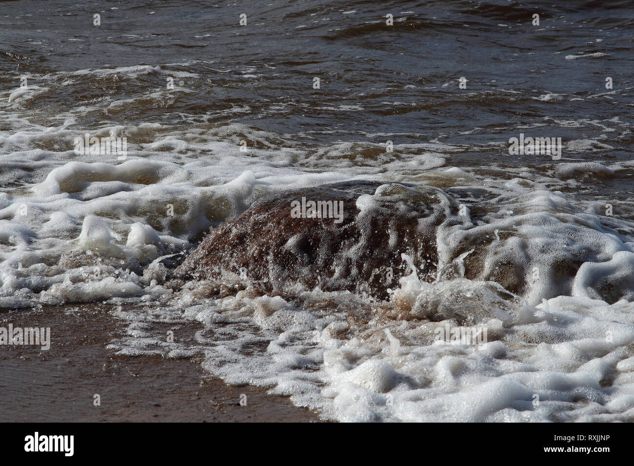 Riga Gulf Coast after the spring storms Stock Photo - Alamy