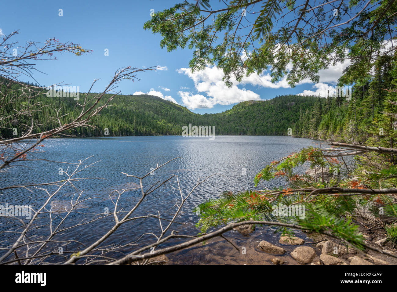 Boreal mountain hi-res stock photography and images - Alamy