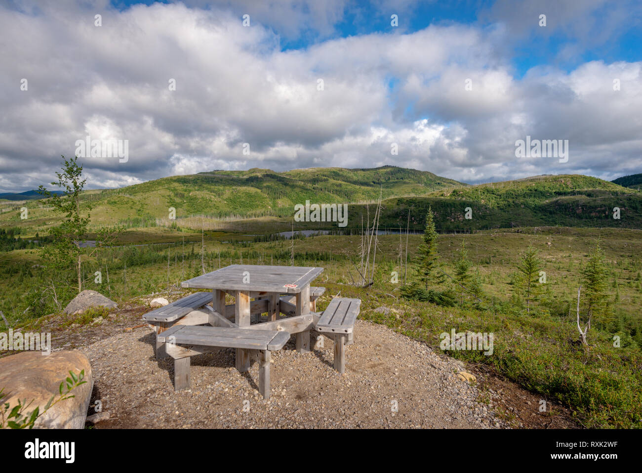 Picnic table set on a lookout over a taiga forest growing back after a ...