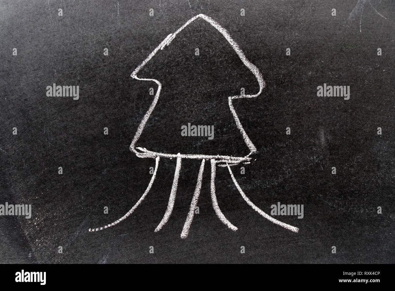 White color chak hand drawing in squid shape on blackboard background ...