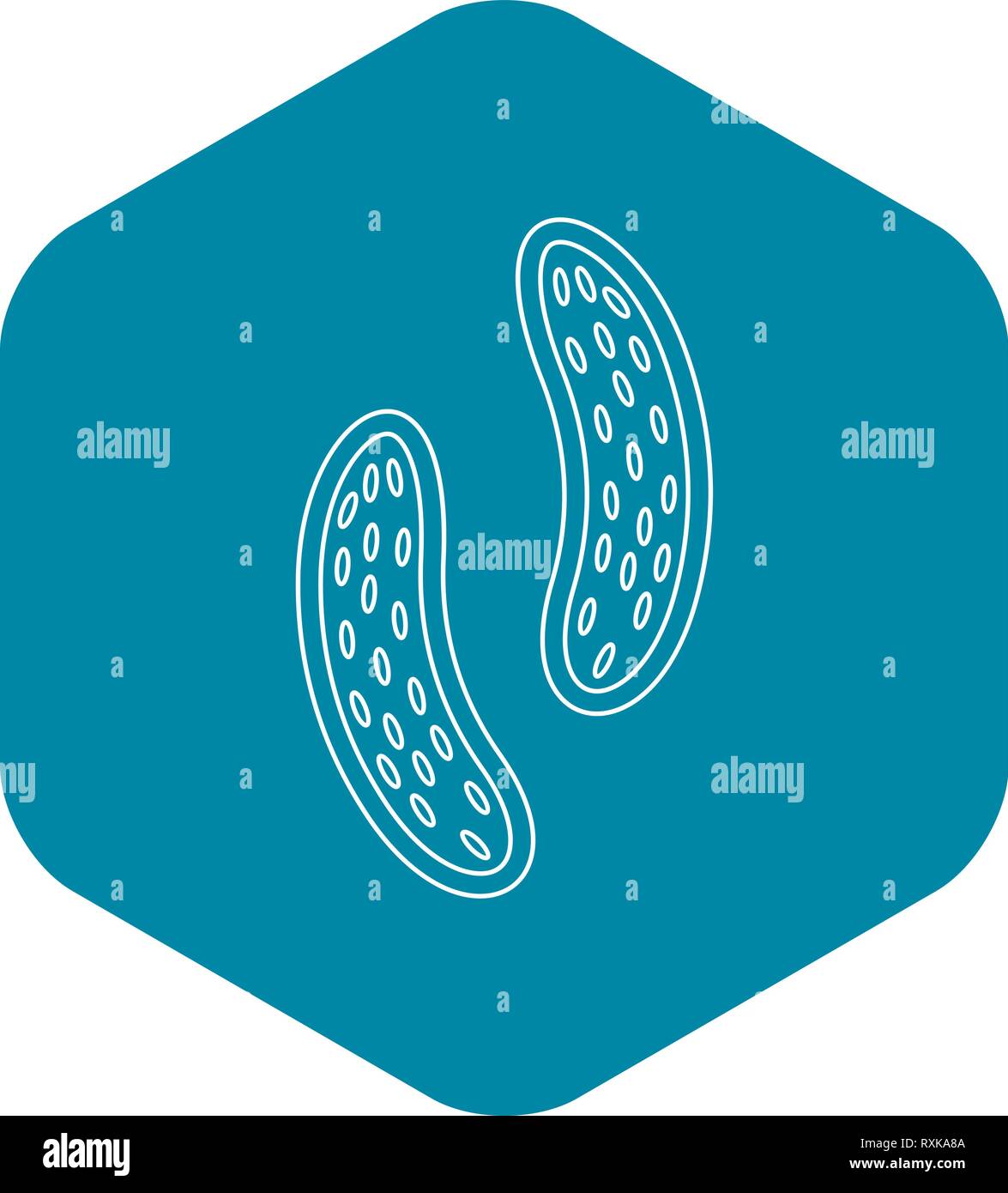 Epithelial cell with nucleus Stock Vector Images - Alamy