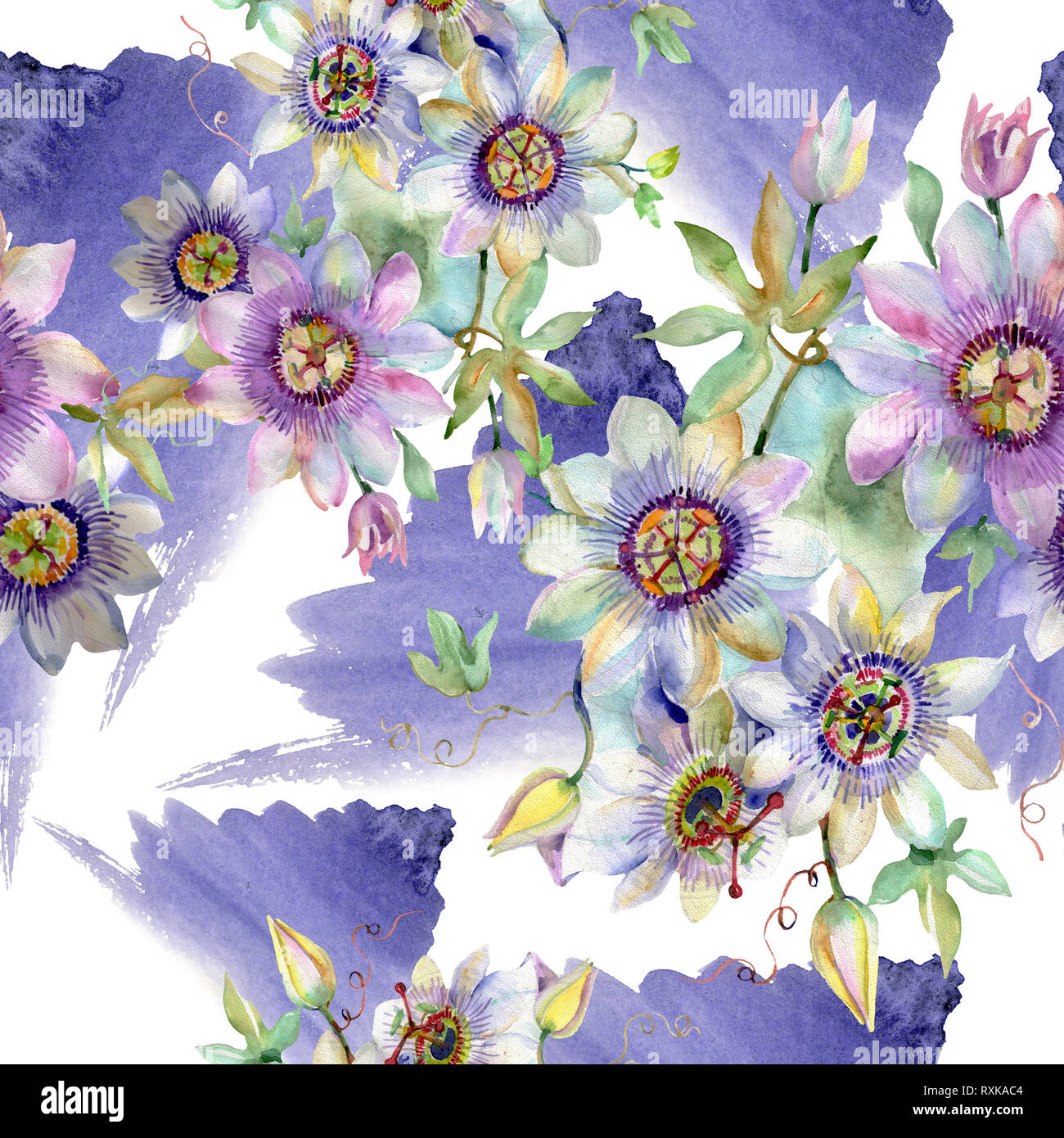 Blue violet bouquet floral botanical flowers. Watercolor background ...