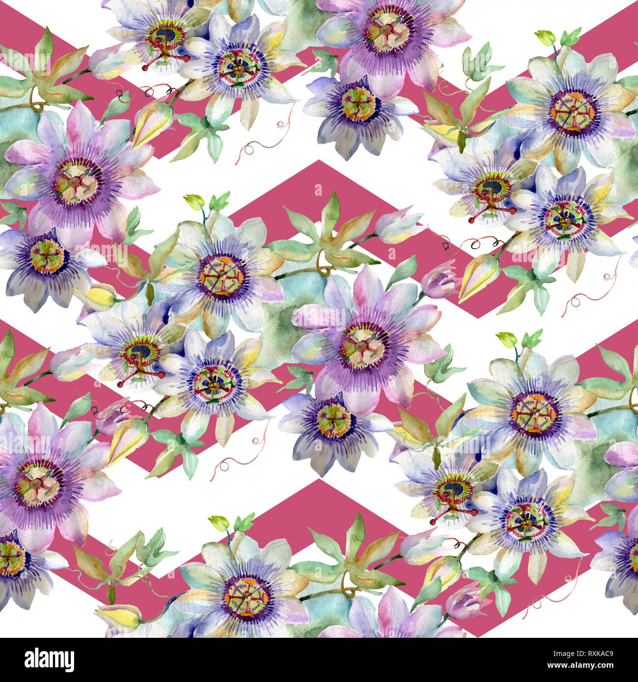 Blue violet bouquet floral botanical flowers. Watercolor background ...