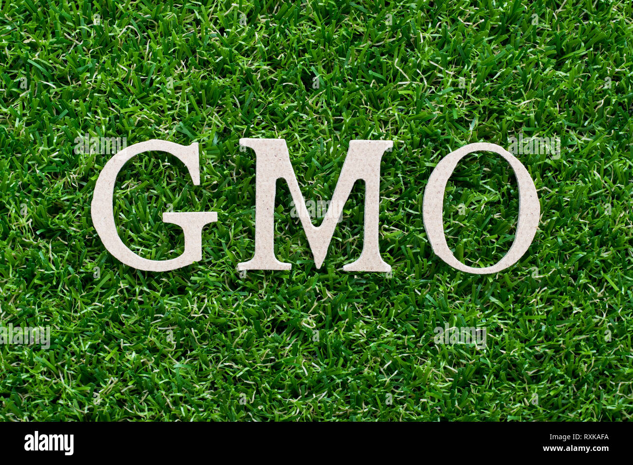 Wood alphabet in word GMO (abbreviation of Genetically Modified ...
