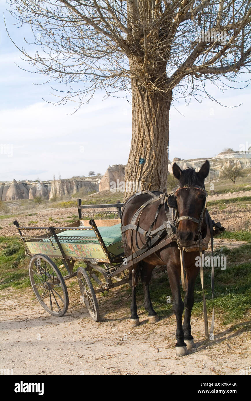 Ash cart hi-res stock photography and images - Alamy