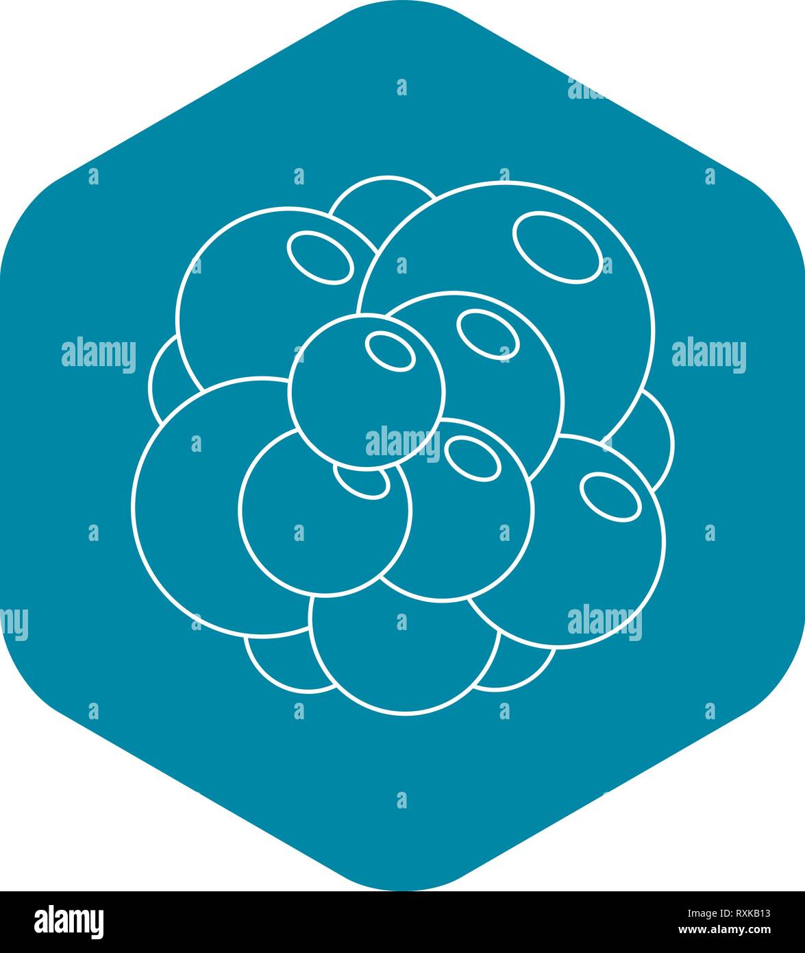 Female reproductive system line drawing hi-res stock photography and ...