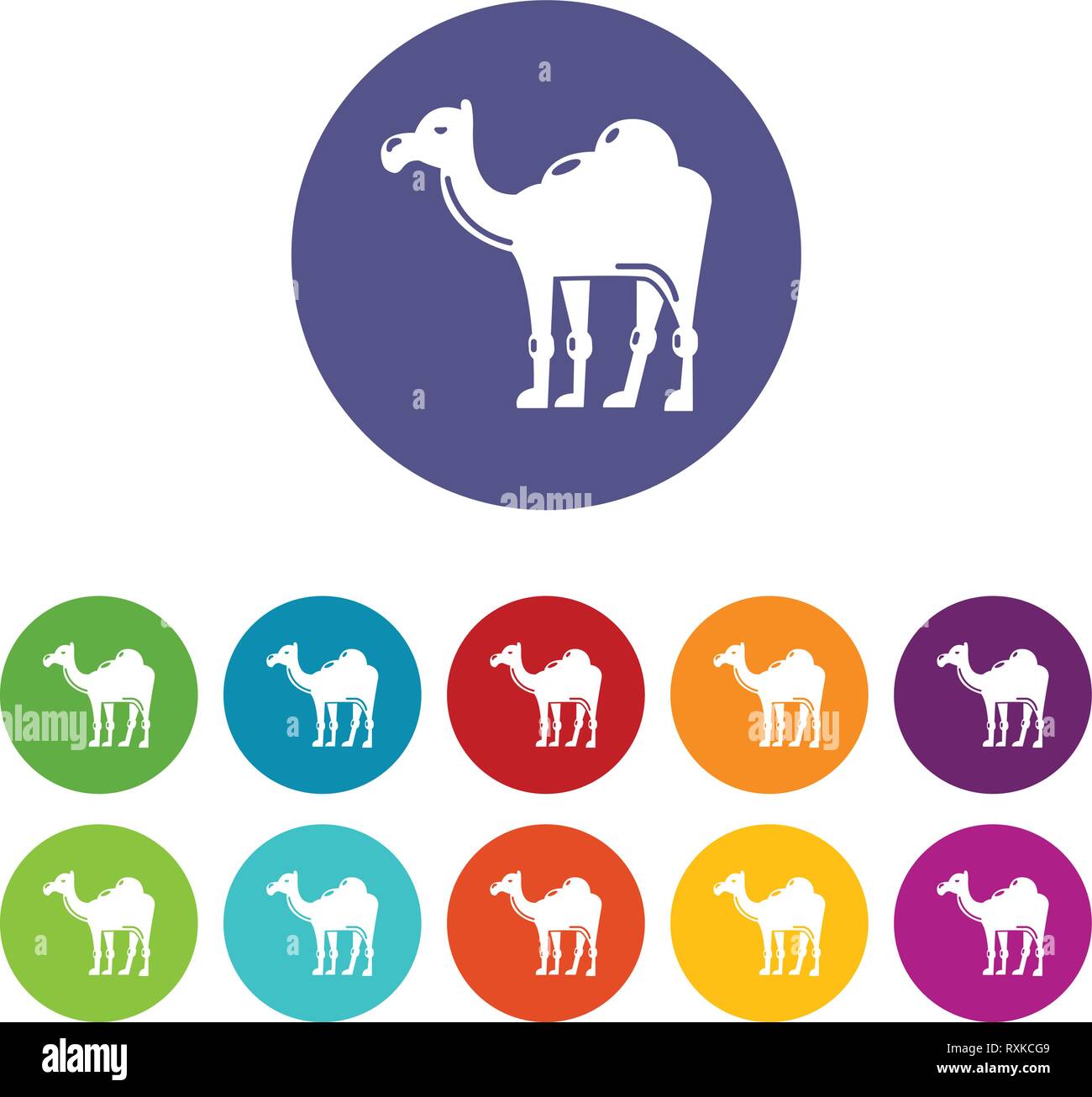 Camel icons set vector color Stock Vector Image & Art - Alamy
