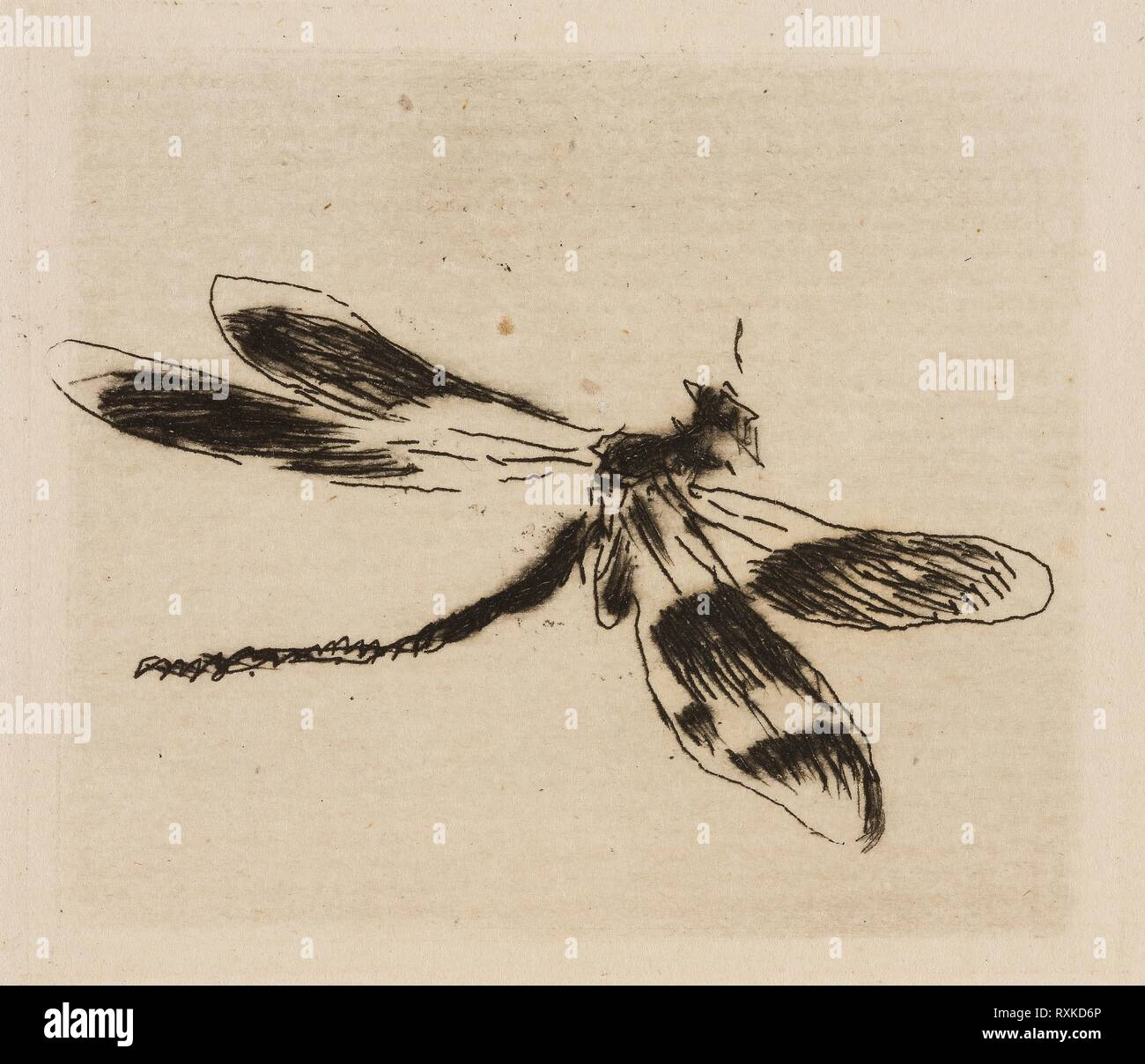 Dragonfly plate hi-res stock photography and images - Alamy