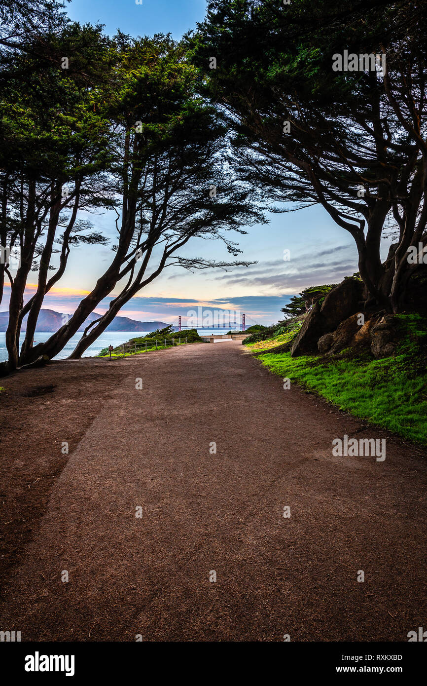 Golden Gate Bridge through the trees at sunrise Stock Photo - Alamy