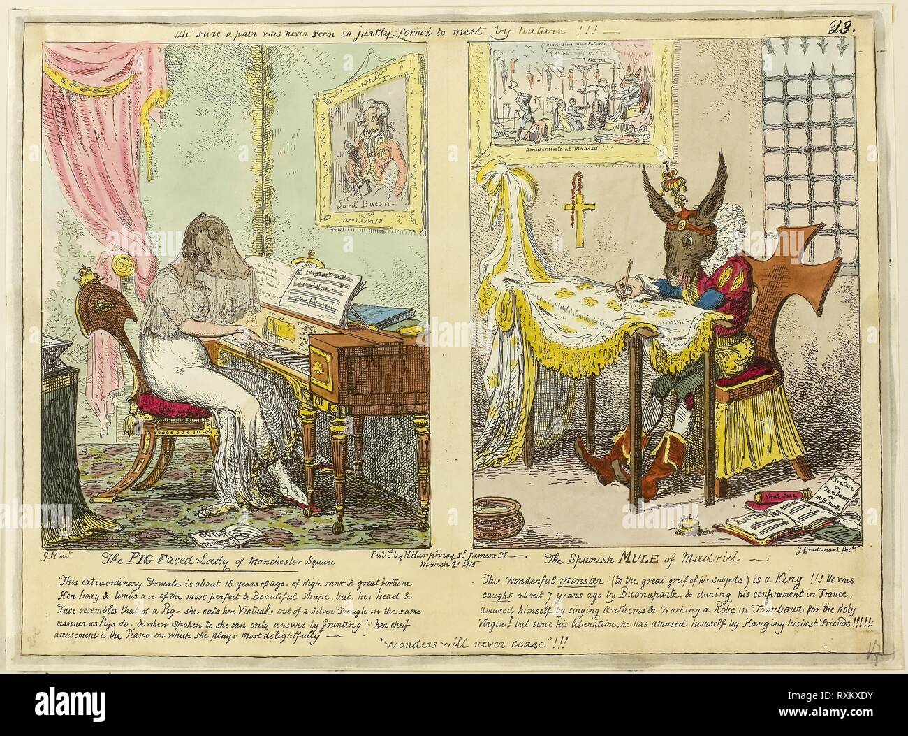 Mule pig hi-res stock photography and images - Alamy