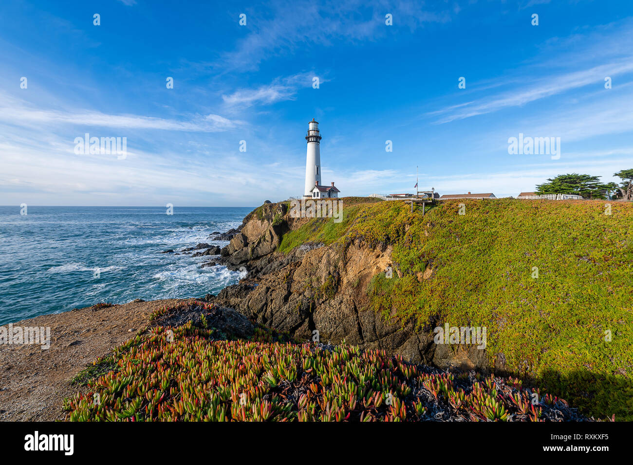 Point pigeon hi-res stock photography and images - Alamy