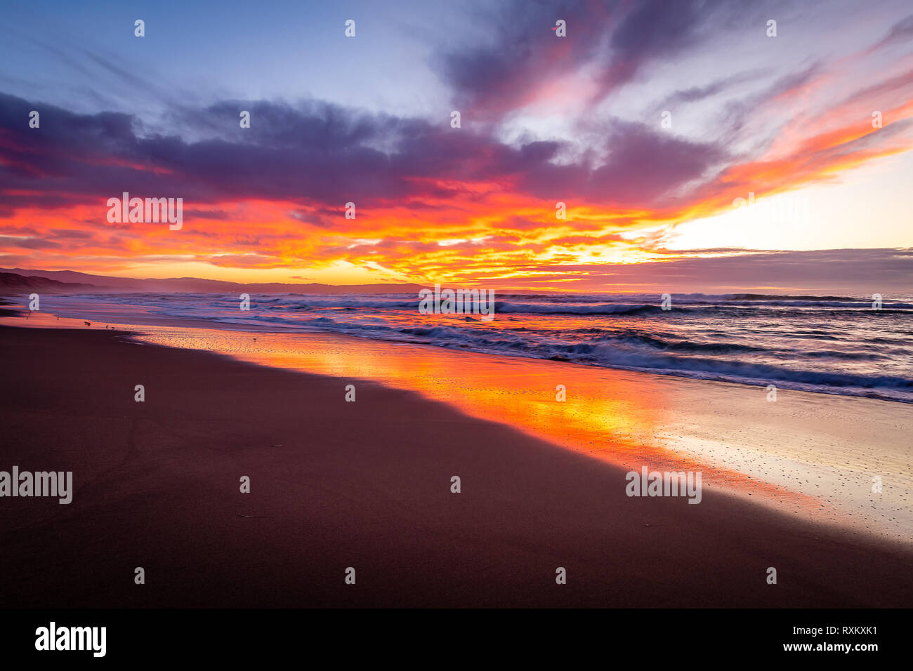 Monterey beach hi-res stock photography and images - Alamy