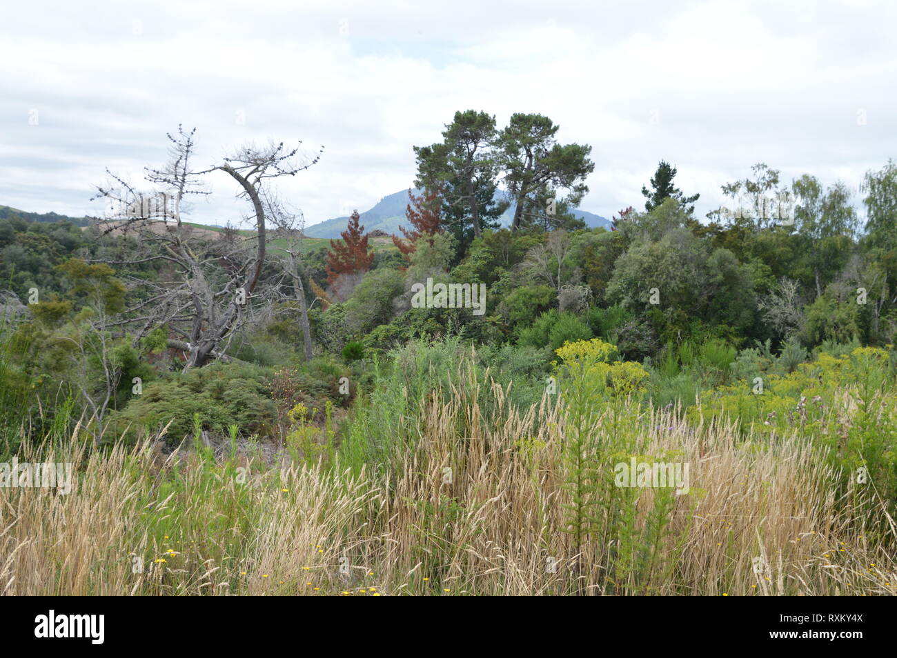 Unspoiled countryside hi-res stock photography and images - Alamy