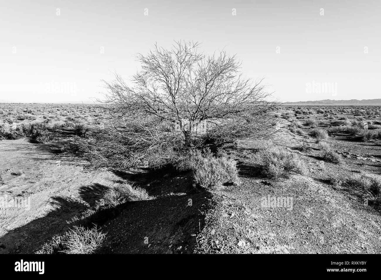 Nevada desert landscape Black and White Stock Photos & Images - Alamy