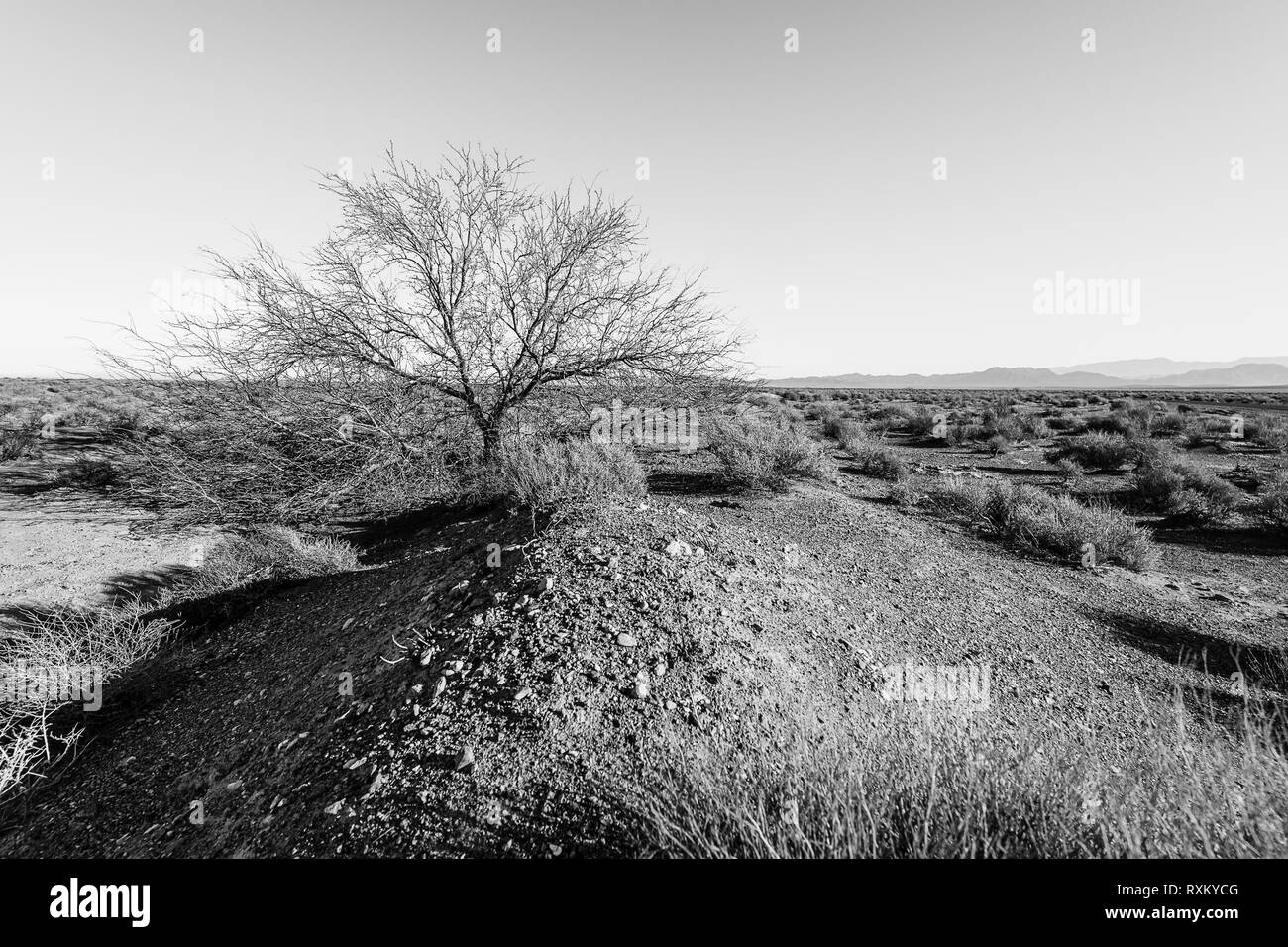 Nevada desert landscape Black and White Stock Photos & Images - Alamy