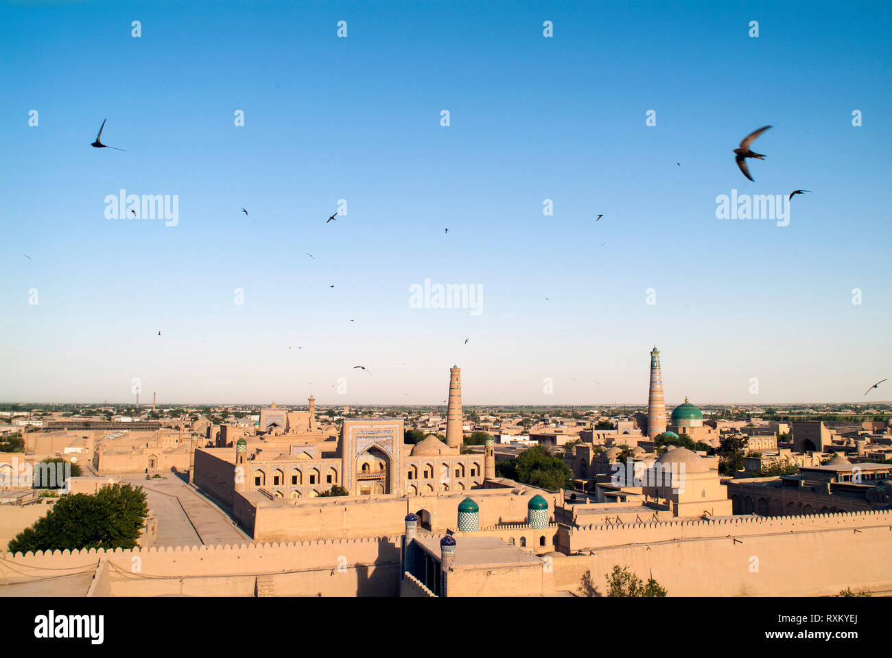 Birds fly above the Khiva skyline at sunset. Founded in the 6th century ...