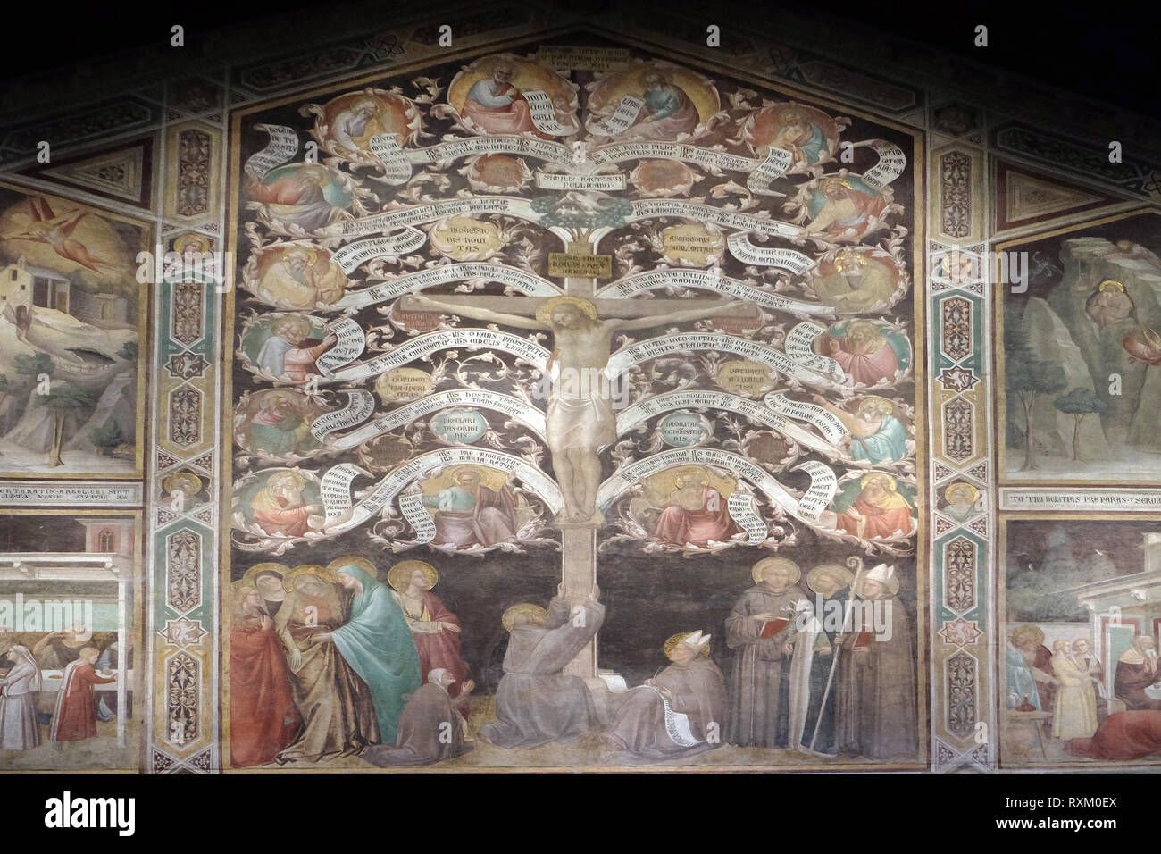 Crucifixion represented as Tree of Life, fresco, Taddeo Gaddi (1290 ...