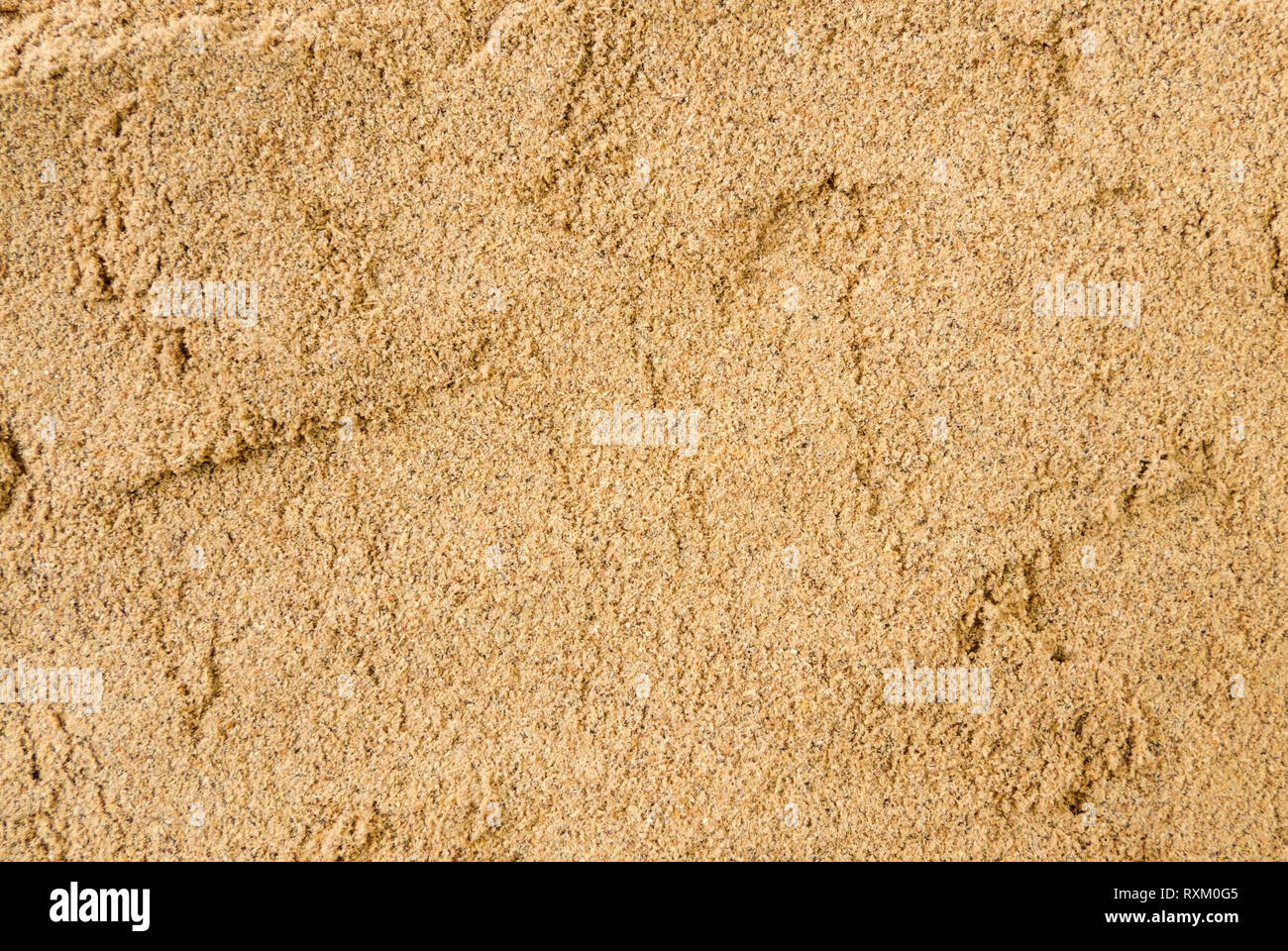 cardamon powder background. Natural seasoning texture. Natural spices ...