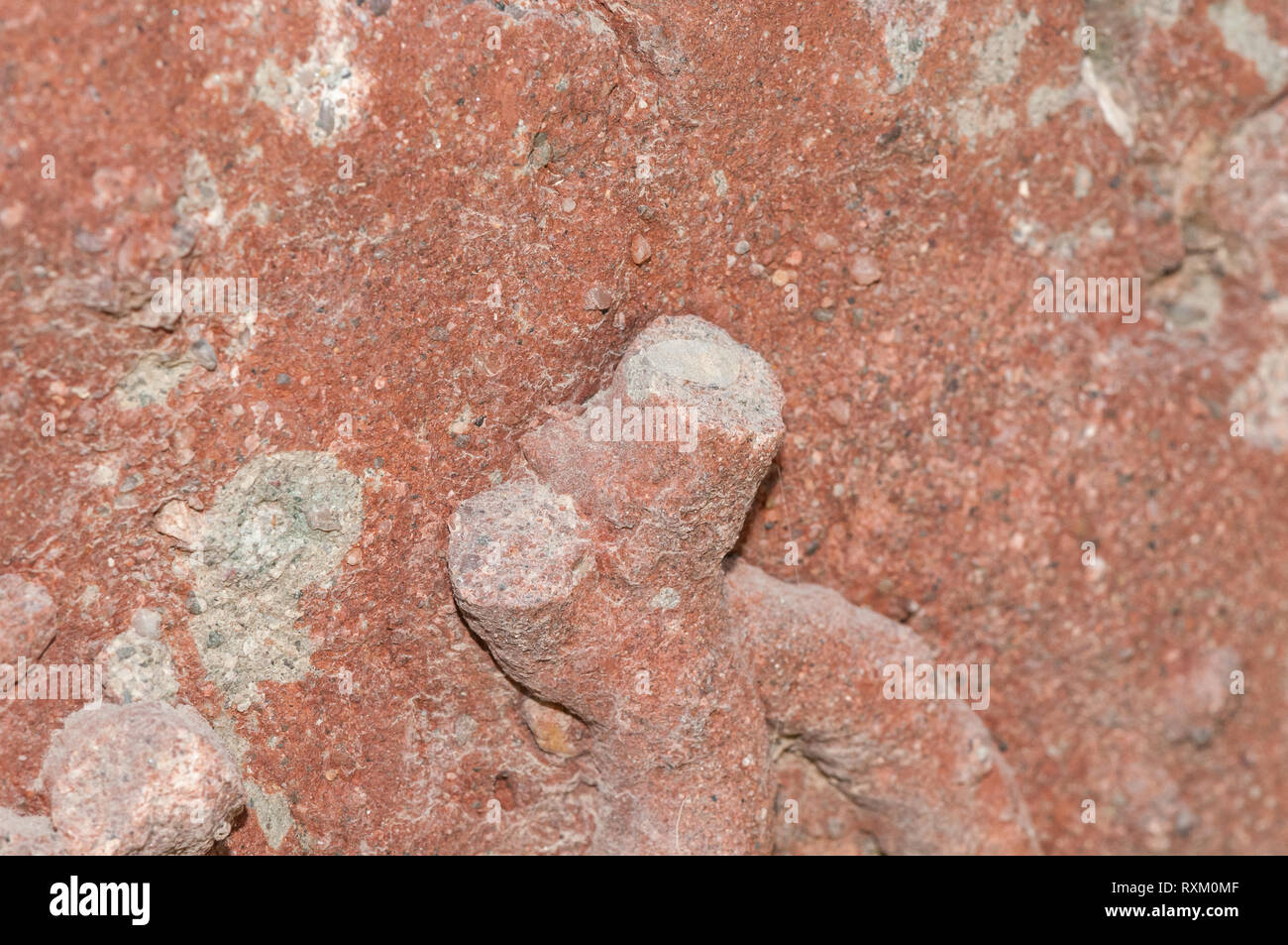 worm burrow trace fossils, Catalonia, Spain Stock Photo - Alamy