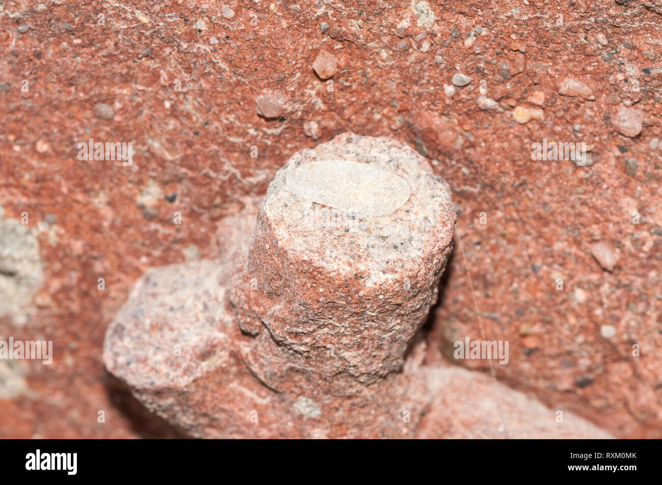 Trace Fossils High Resolution Stock Photography and Images - Alamy