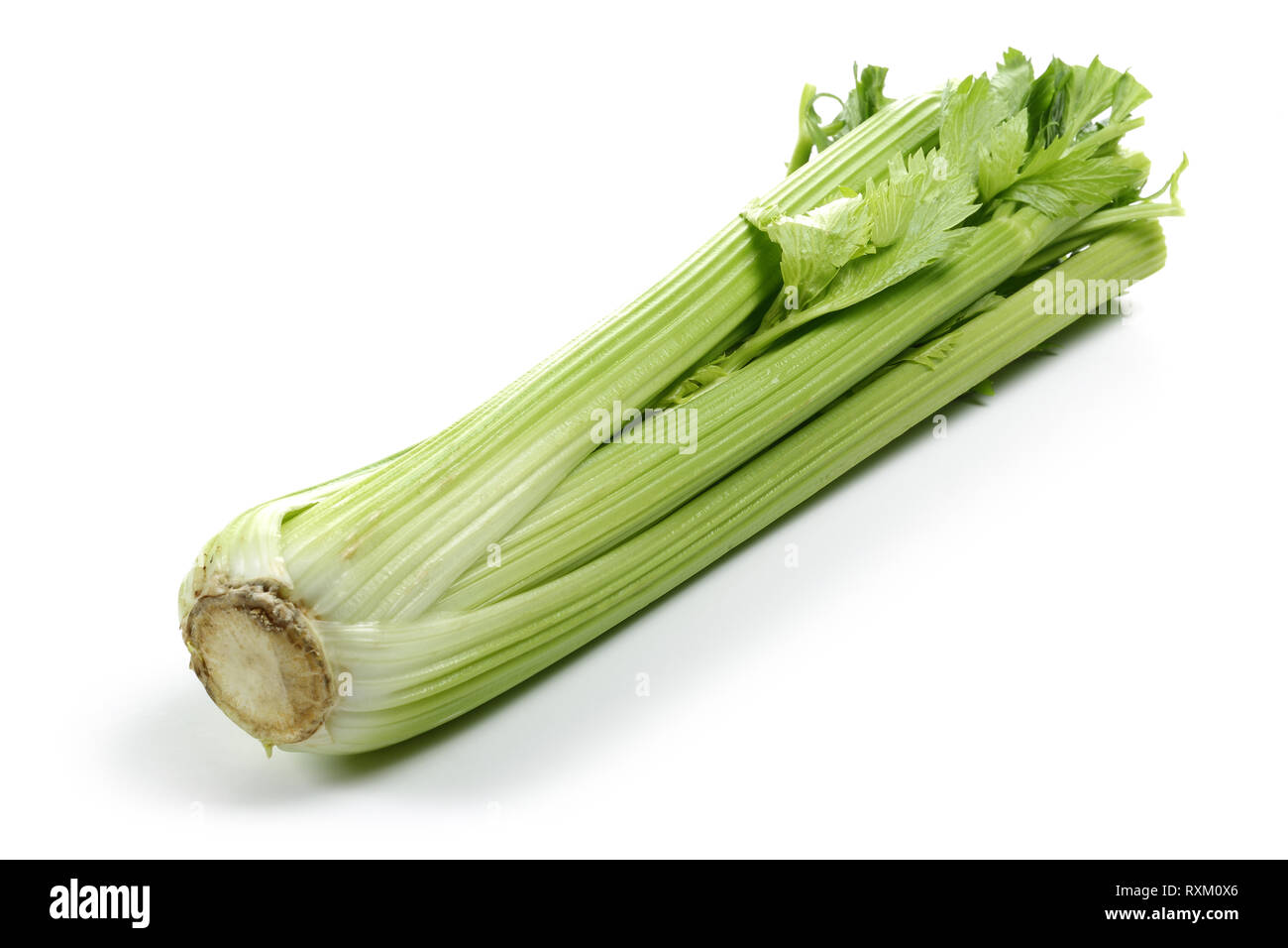 Fresh celery stalks and leaves isolated on white background Stock Photo ...