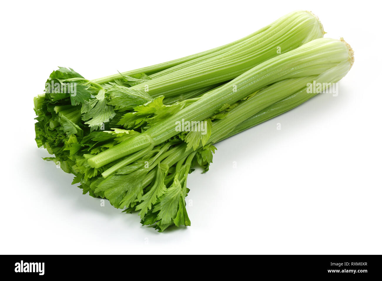 Fresh celery stalks and leaves isolated on white background Stock Photo ...
